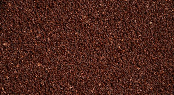 Caffeine Poisoning – Kentucky Poison Control